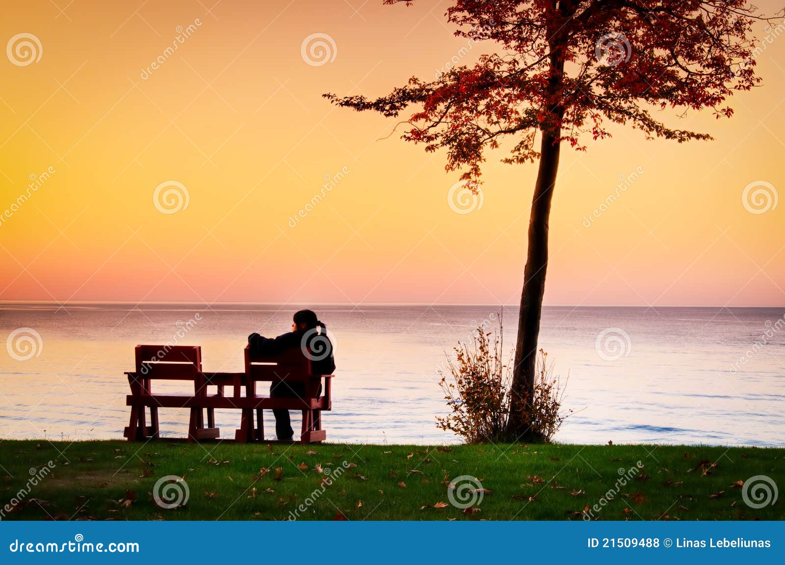 Enjoying Autumn Sunset Colors Stock Photo - Image of nature, ocean ...