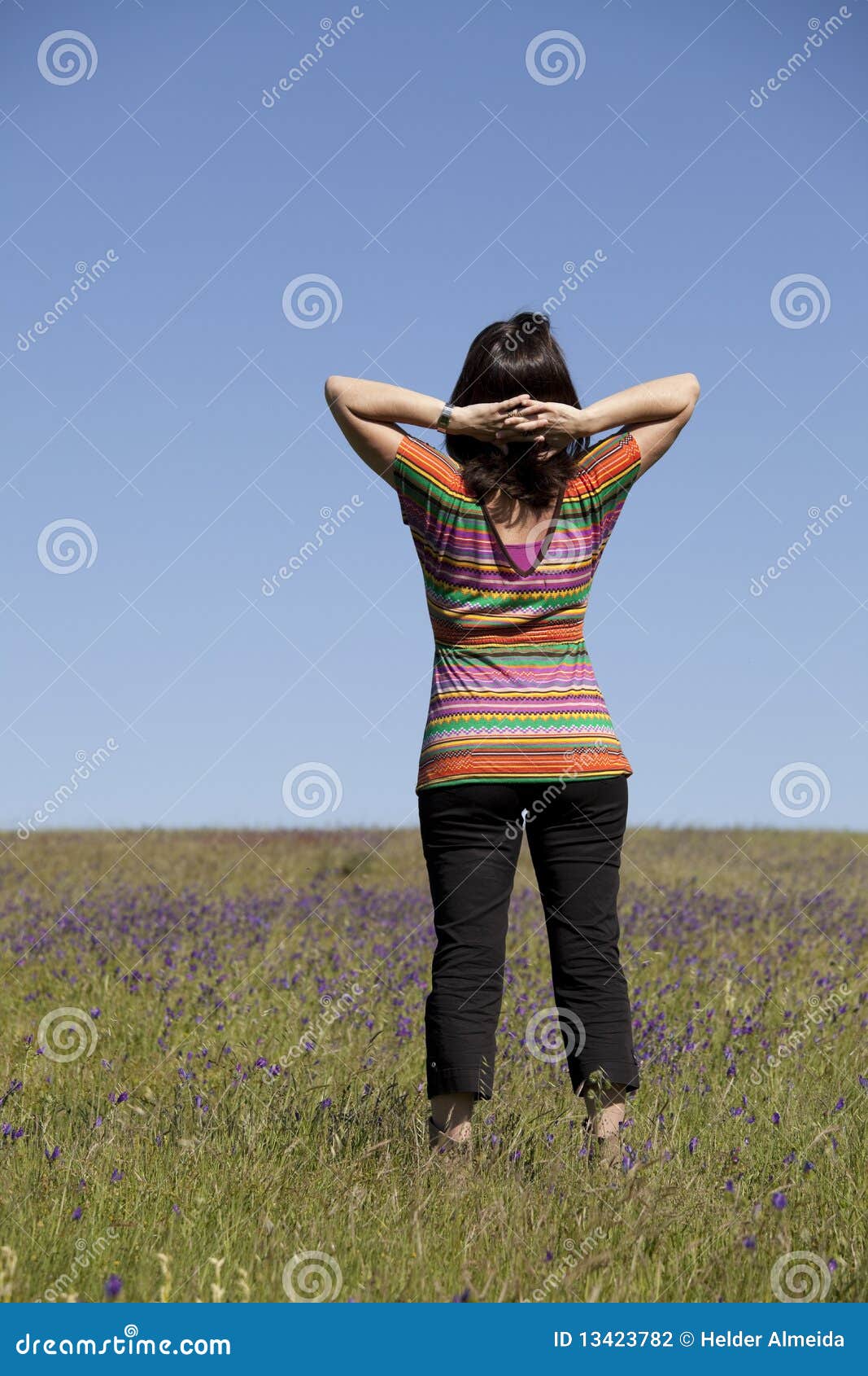 Enjoying Life in the Spring Stock Photo - Image of field, flower: 13423782