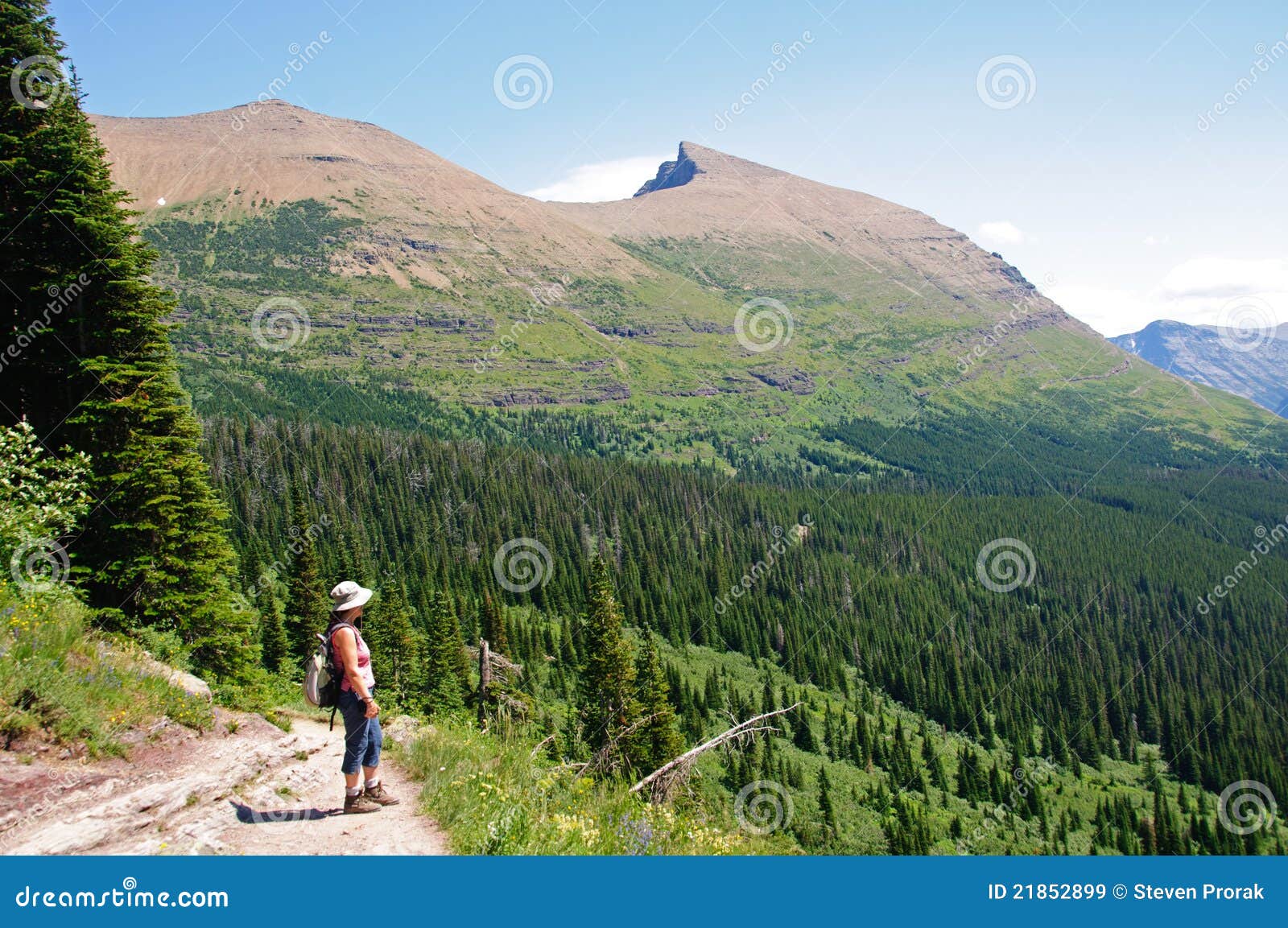 Enjoying the Natural Splendor Stock Image - Image of outdoors, park ...