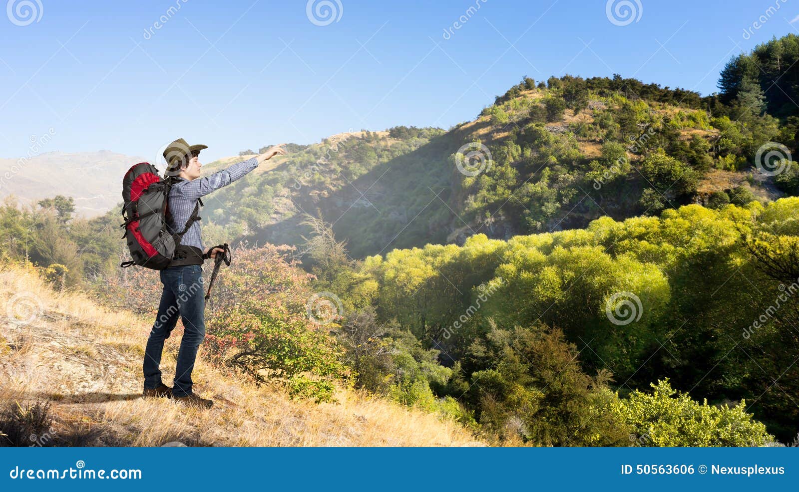 Enjoying Nature Wilderness! Stock Photo - Image of green, walk: 50563606