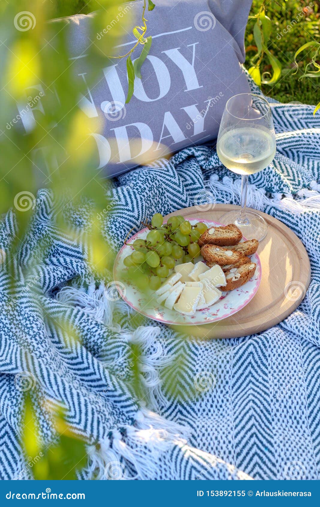 Enjoying Today in a Picnic on the Grass with a Glass of Wine and Snacks ...