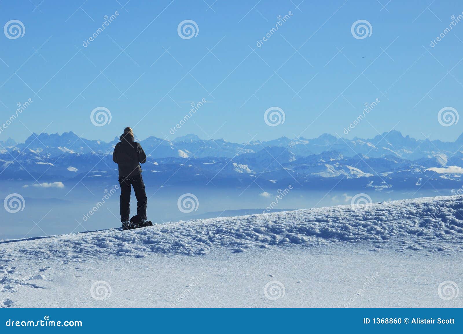 Enjoying the view stock photo. Image of frozen, single - 1368860