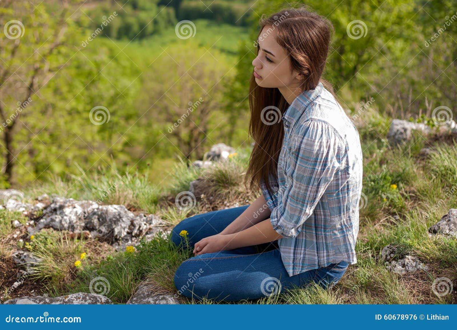 Enjoying the view. stock photo. Image of tranquil, forest - 60678976
