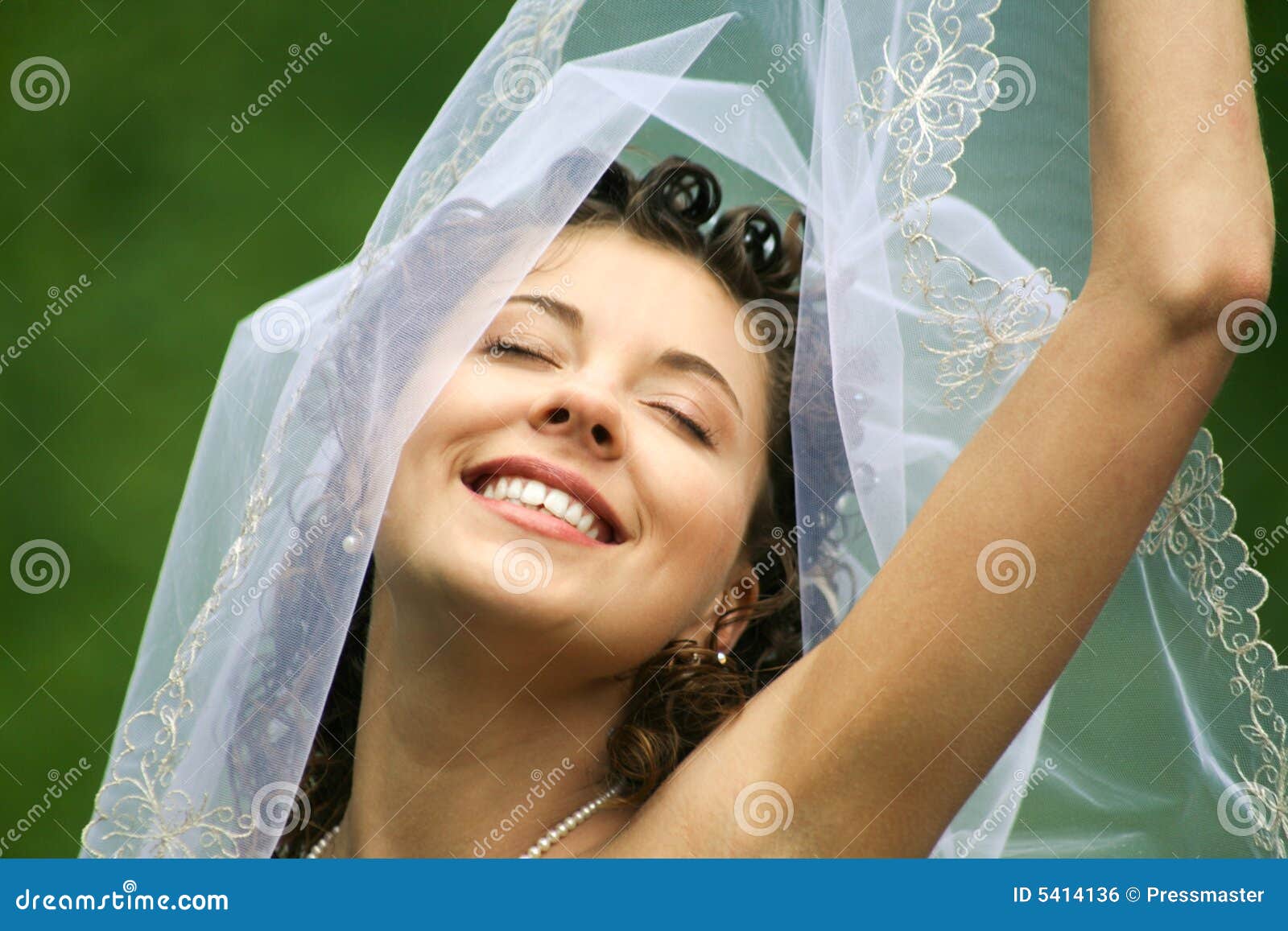 Enjoyment stock photo. Image of chiffon, marry, enjoyment - 5414136