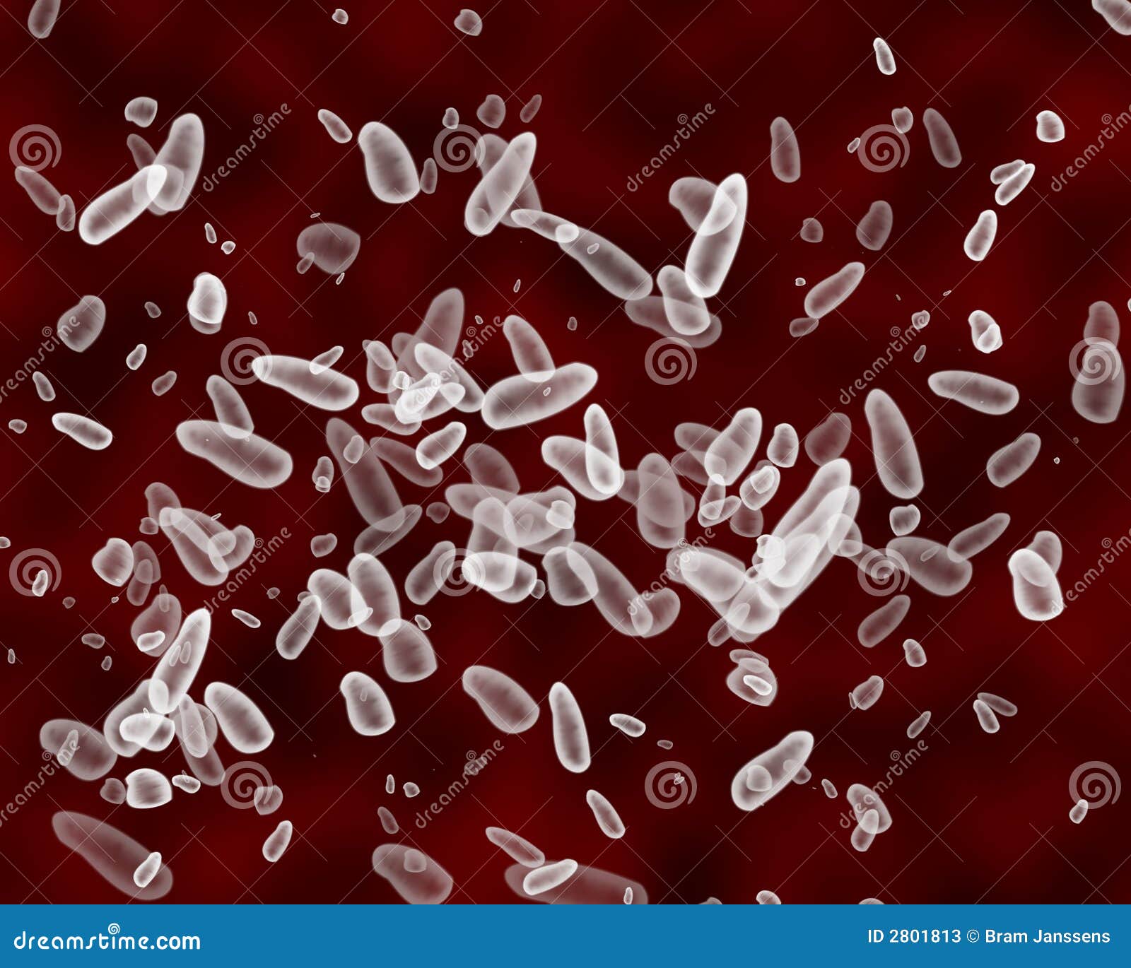 Enlarged Bacteria Illustration Stock Illustration - Illustration of ...
