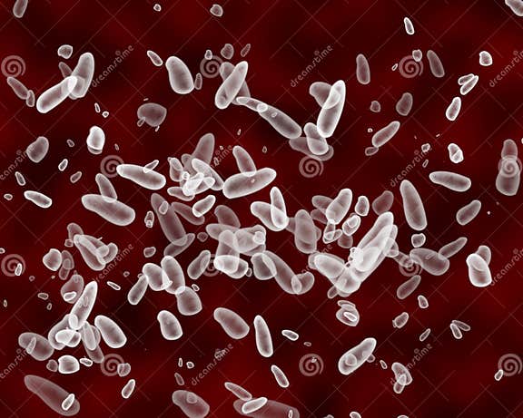Enlarged Bacteria Illustration Stock Illustration - Illustration of ...