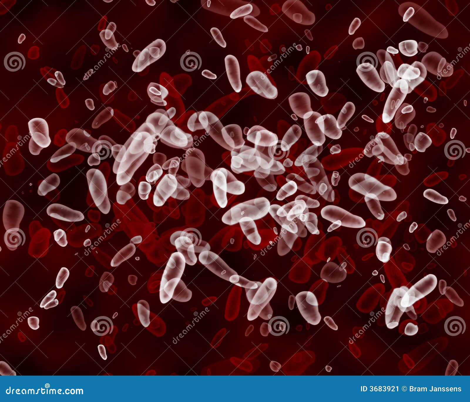 Enlarged Bacteria Illustration Stock Illustration - Illustration of ...