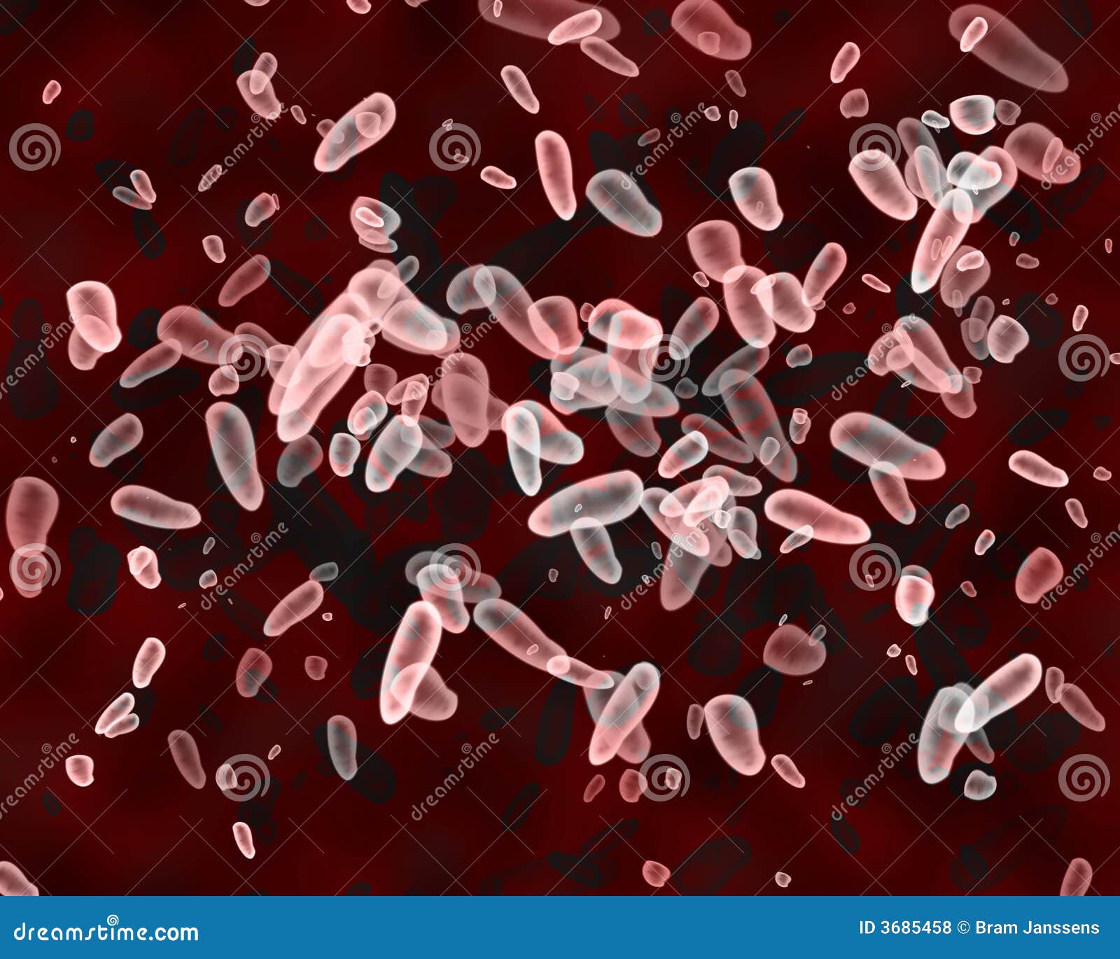 Enlarged Bacteria Illustration Stock Illustration - Illustration of ...