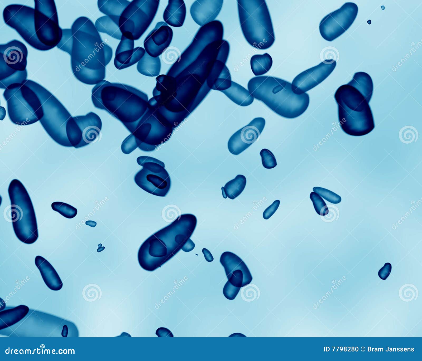 Enlarged Bacteria Illustration Stock Illustration - Illustration of ...