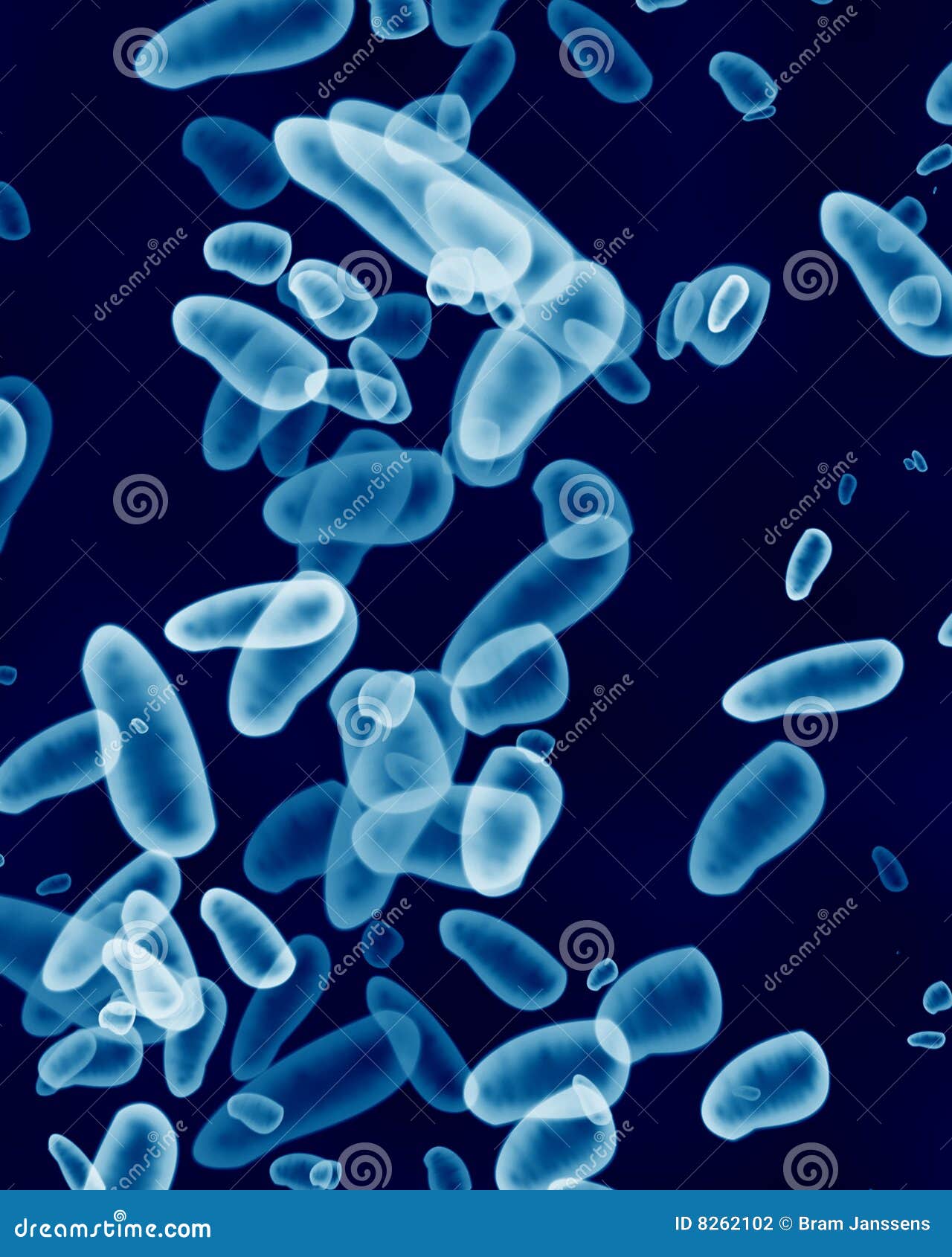 Enlarged Bacteria Illustration Stock Illustration - Illustration of ...