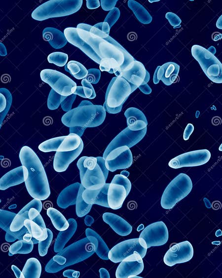 Enlarged Bacteria Illustration Stock Illustration - Illustration of ...