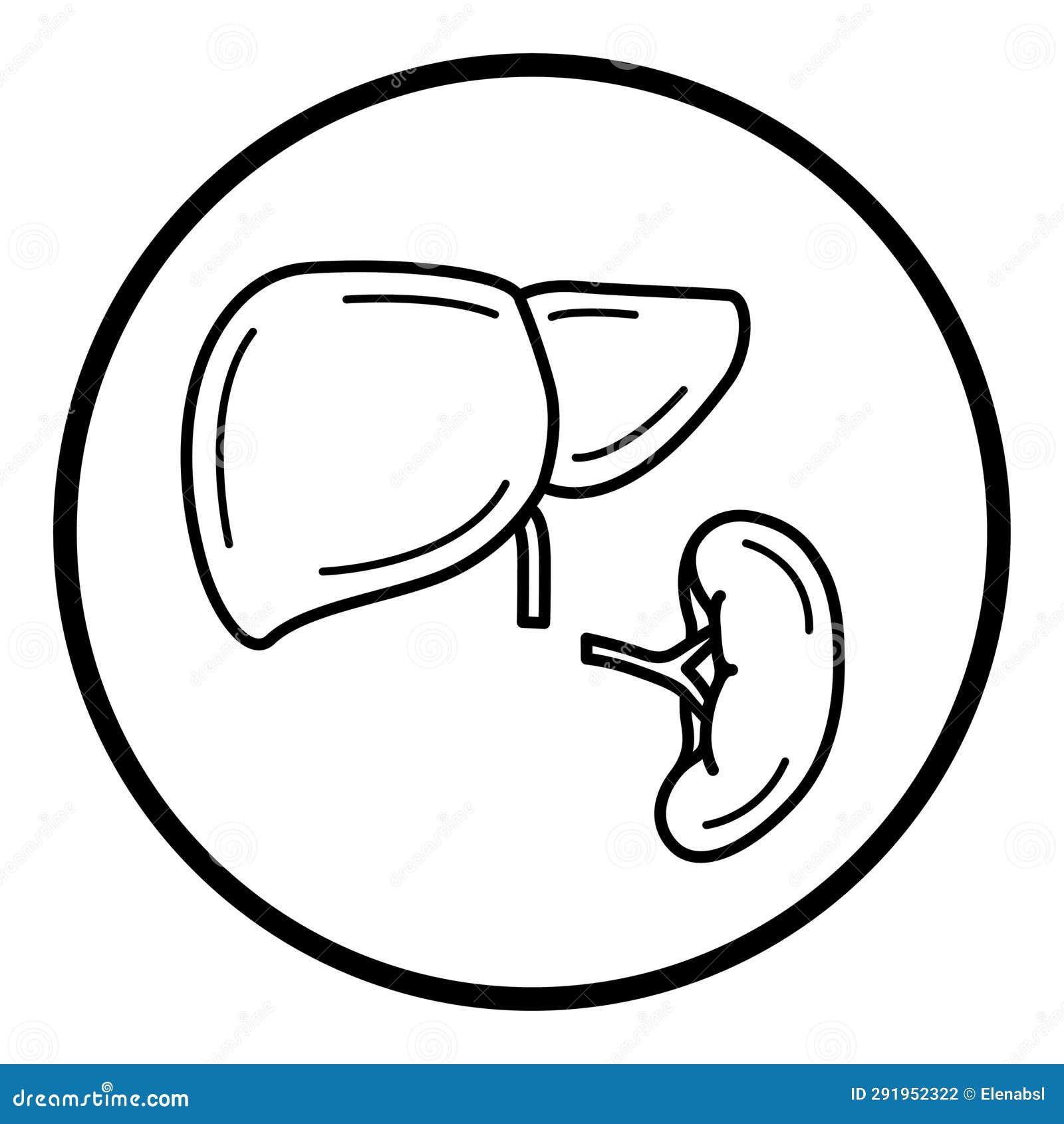 Enlarged Liver and Spleen Icon Stock Illustration - Illustration of ...