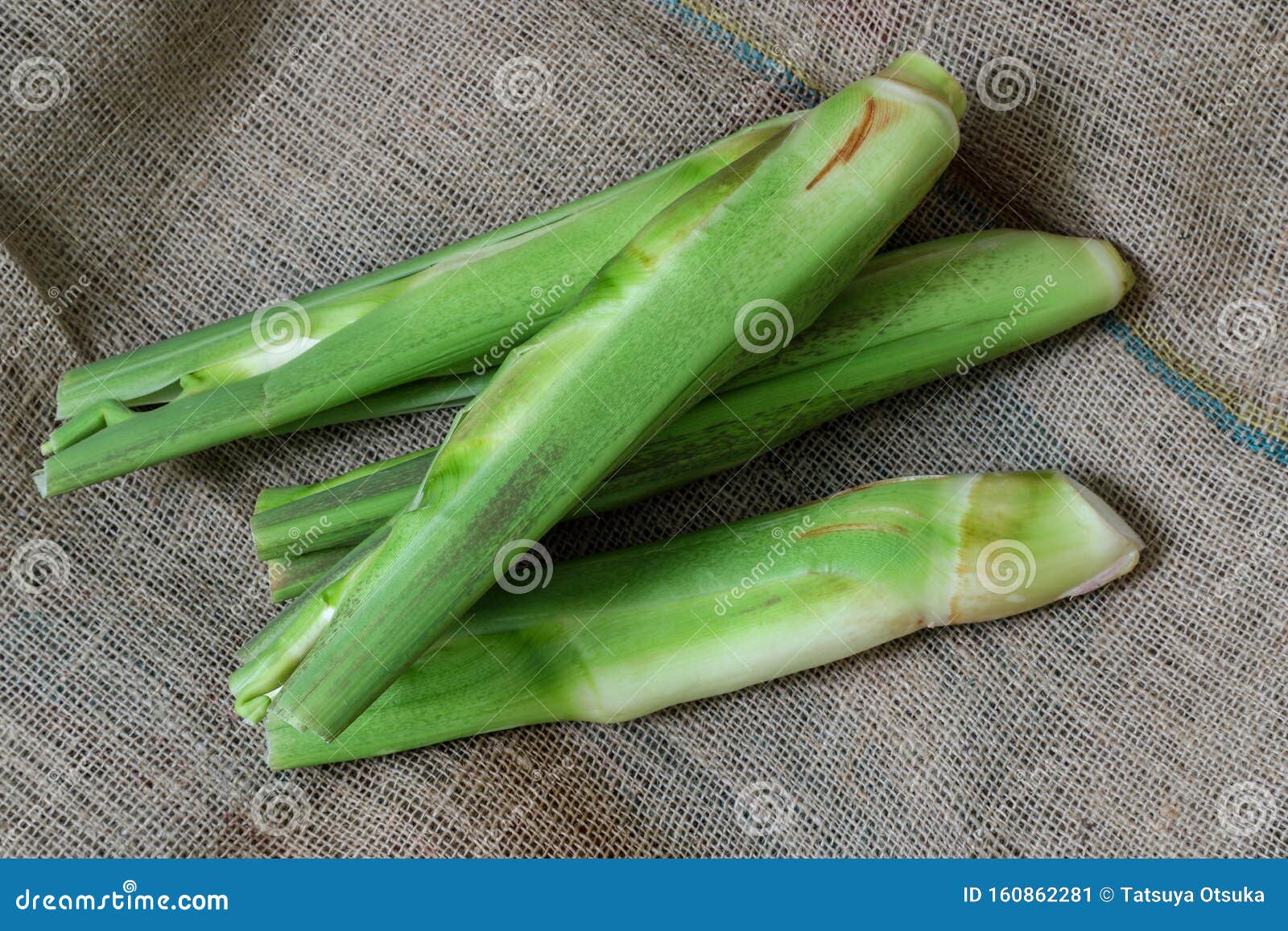 Enlarged Wild Rice Stem on the Gunny Bag Stock Image - Image of jute ...