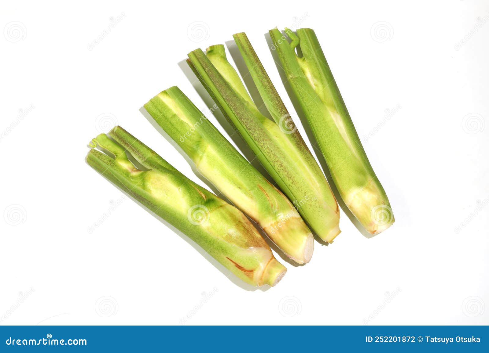 Enlarged Wild Rice Stem in a White Background. Stock Photo - Image of ...