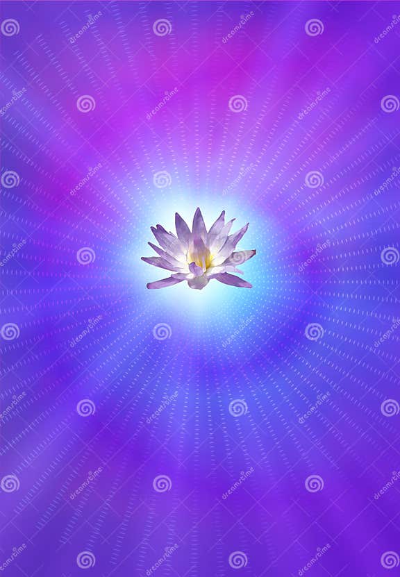 Enlightenment Lotus stock illustration. Illustration of leaves - 2882369