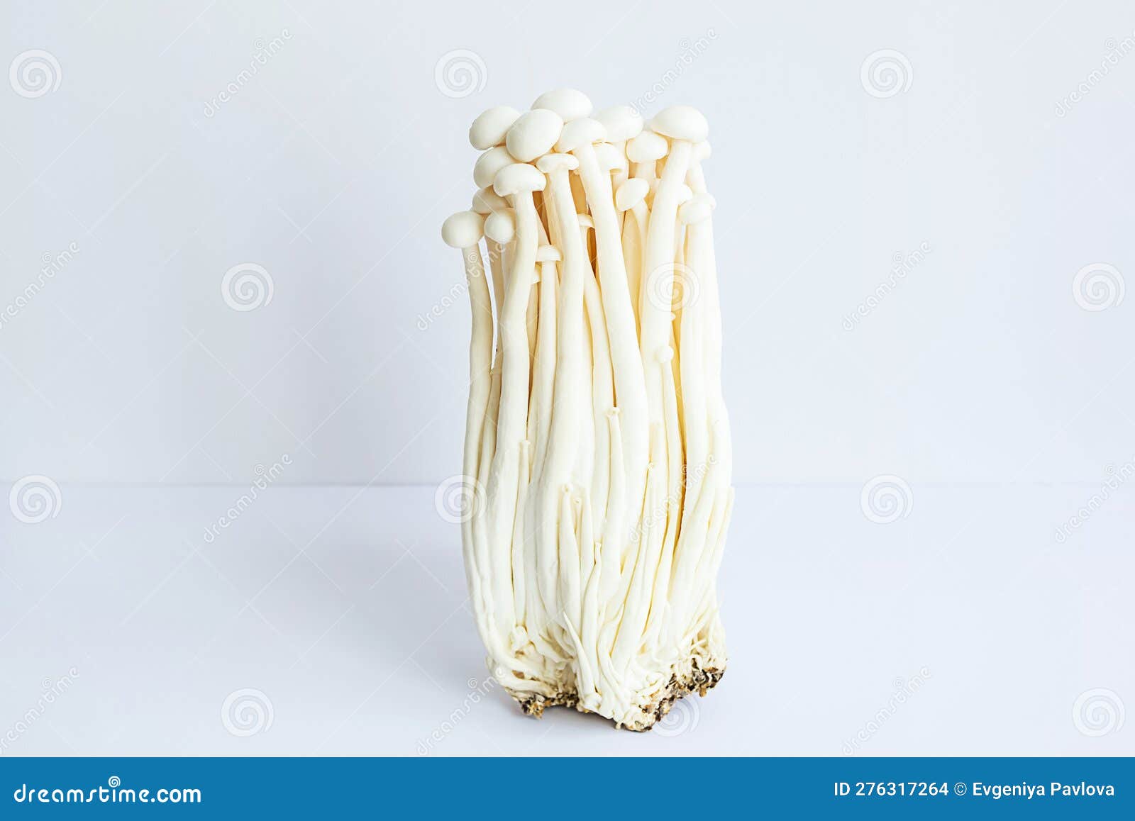 Enokitake Mushrooms on White Stock Photo - Image of herb, nutrition ...