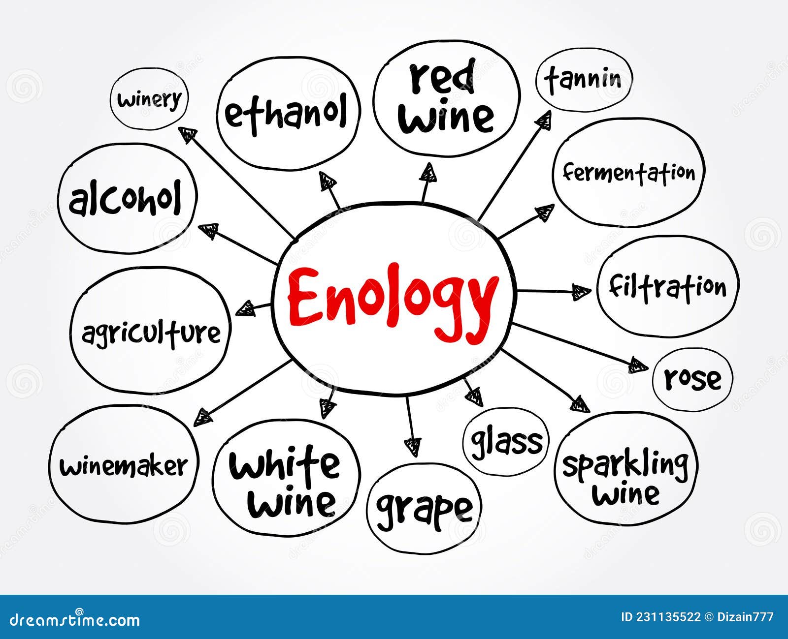 Enology Mind Map, Concept for Presentations and Reports Stock ...