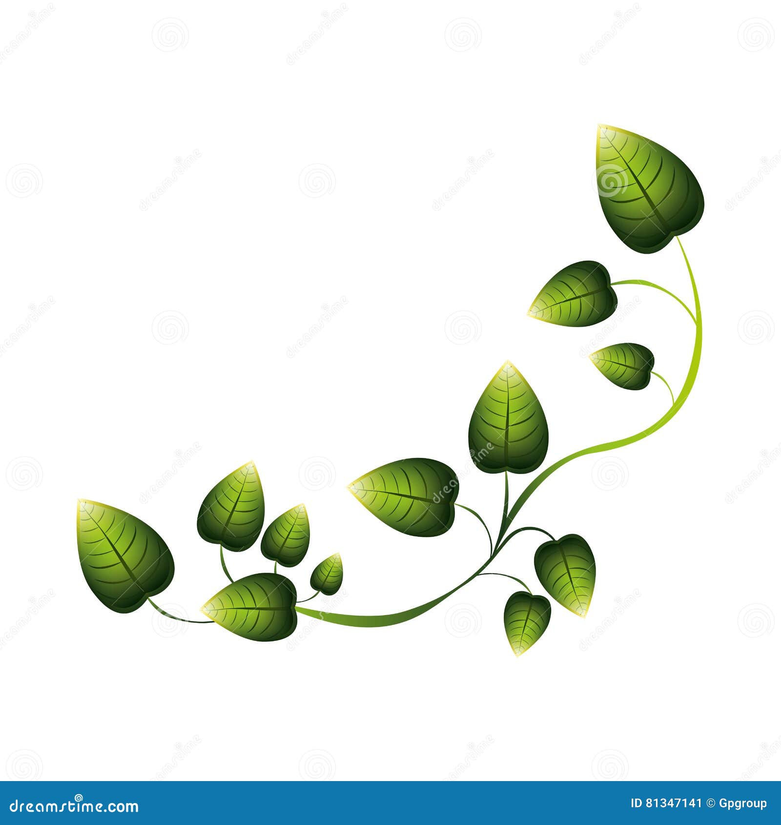 Enredadera Verde Con Las Hojas Múltiples Stock de ilustración ...