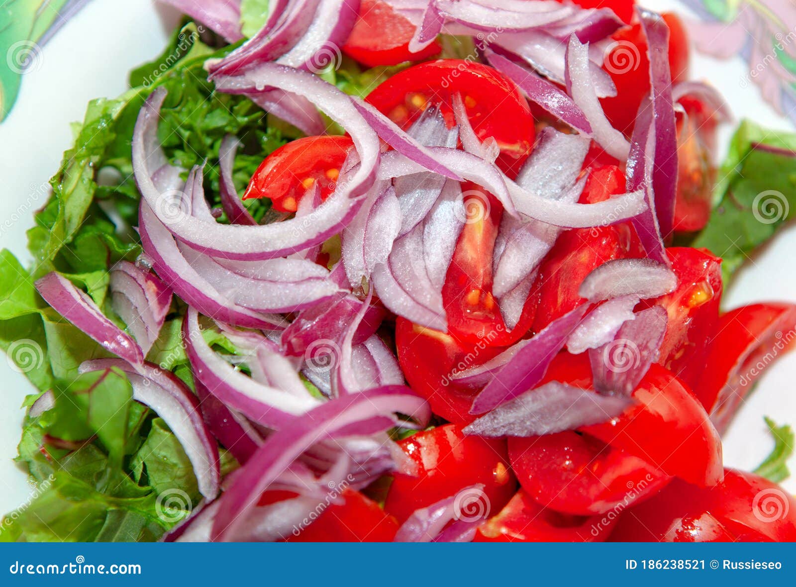 Ensalada De Cebolla Y Tomate Imagen de archivo - Imagen de aperitivo ...