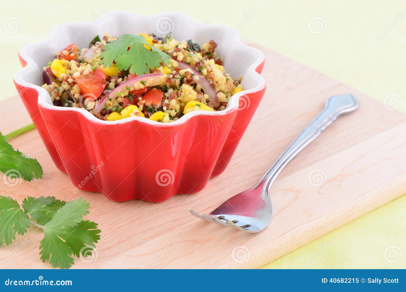 Ensalada de Santa Fe imagen de archivo. Imagen de sano - 40682215