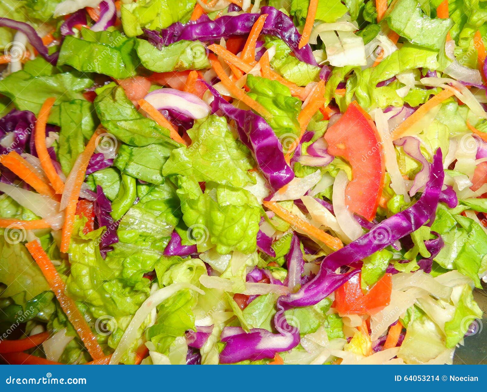 Ensalada, Lechuga, Tomate, Zanahoria Foto de archivo - Imagen de plato ...