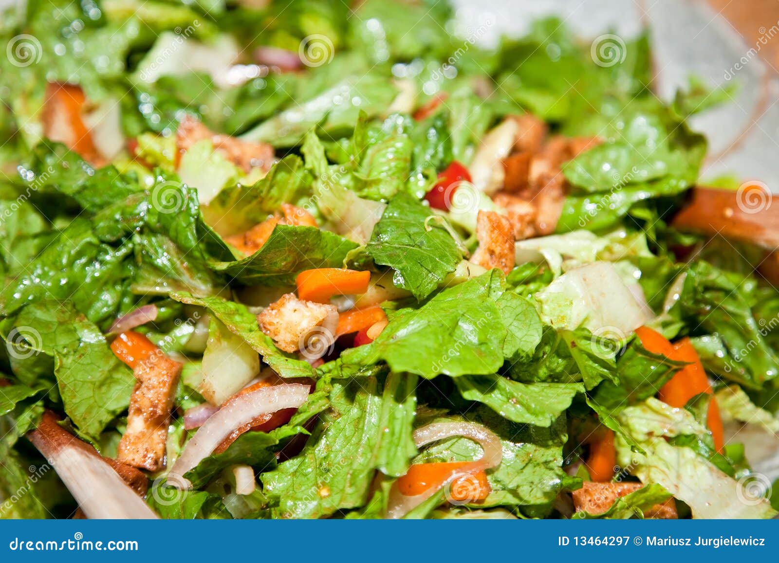 Ensalada verde imagen de archivo. Imagen de ensalada - 13464297