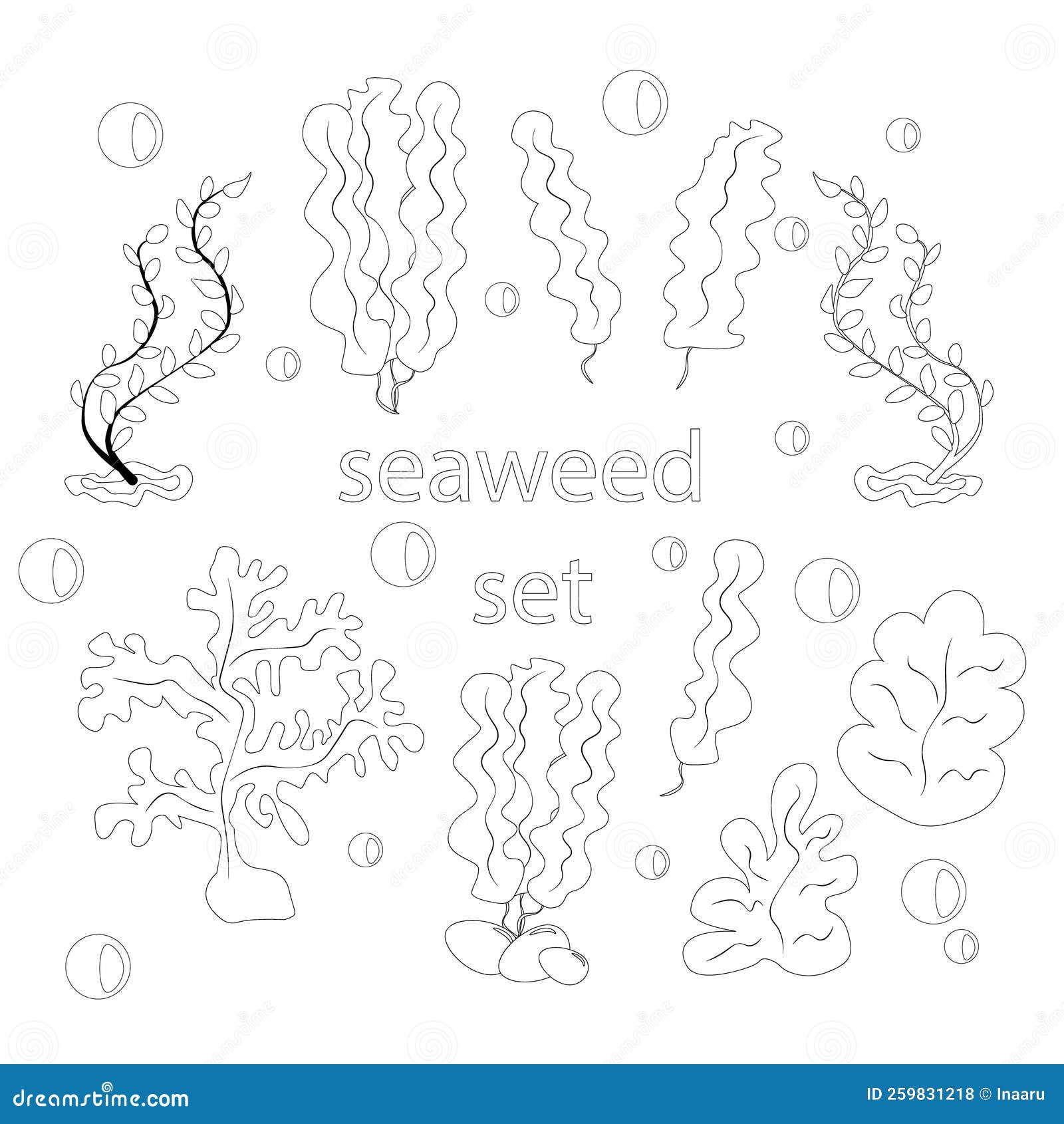 Ensemble d'algues. illustration de vecteur. Illustration du coloration ...