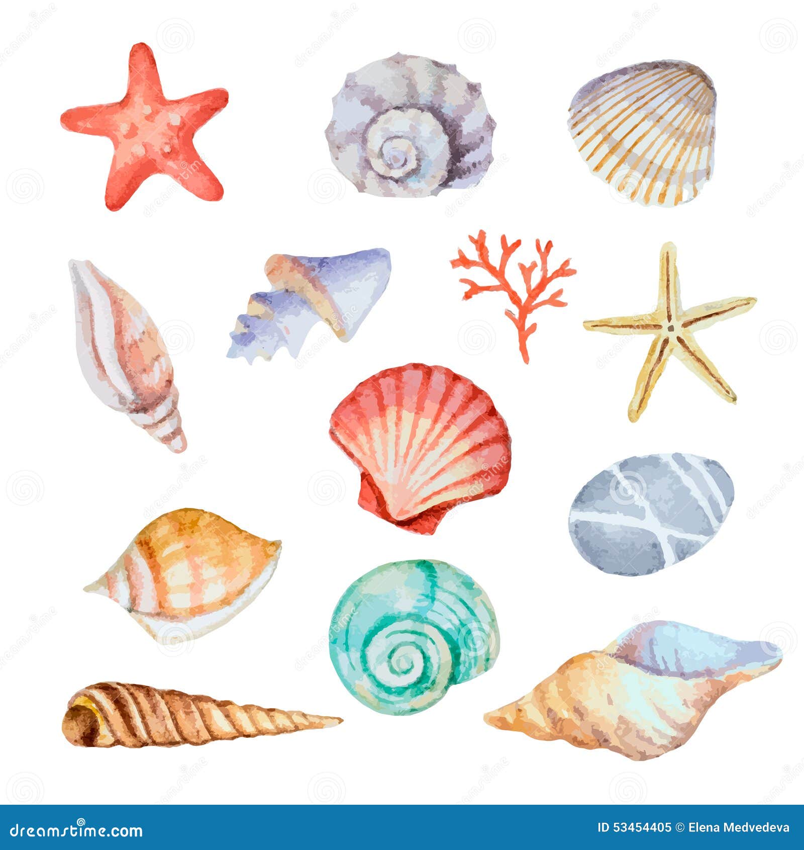 Ensemble D'aquarelle De Coquillages Illustration de Vecteur - Image ...