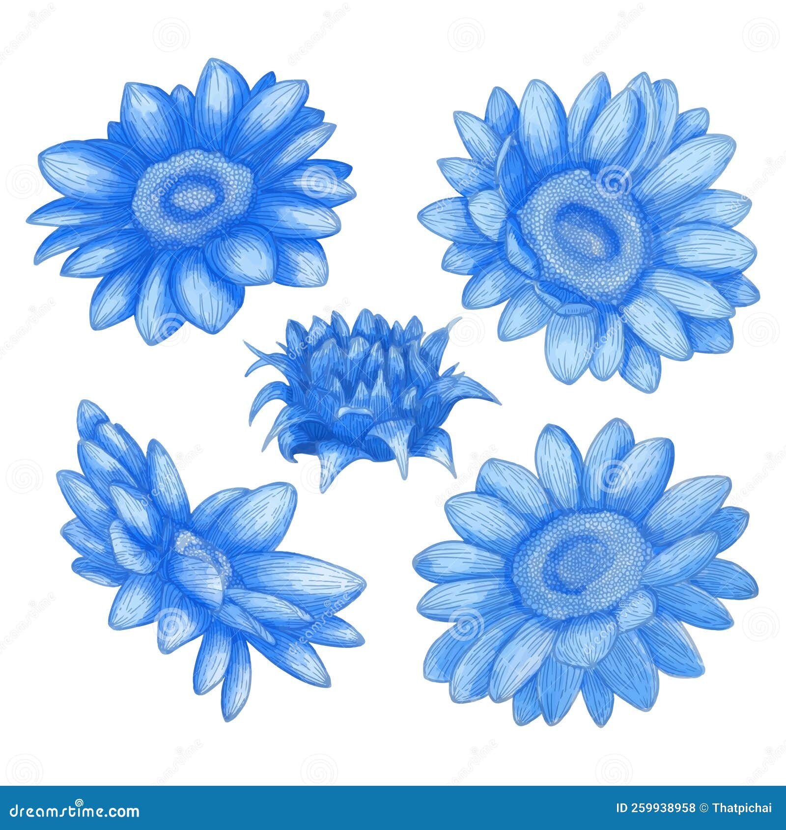 Ensemble D'aquarelle Fleur Bleu Flore Clipart. Illustration Stock ...