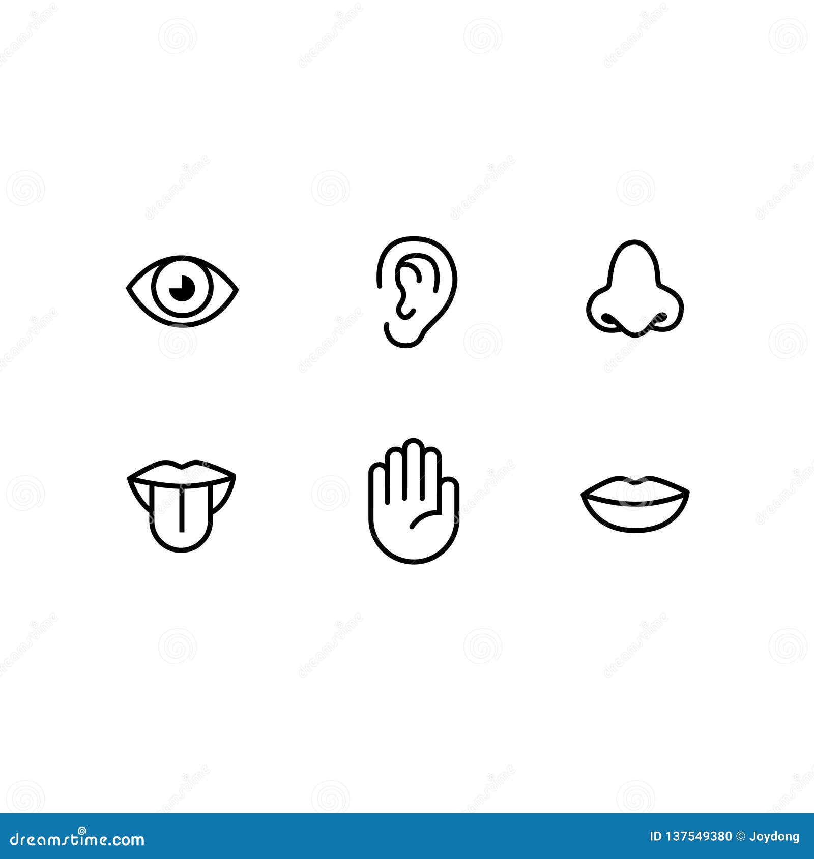 Ensemble D'icône De Six Sens Humains Illustration de Vecteur ...