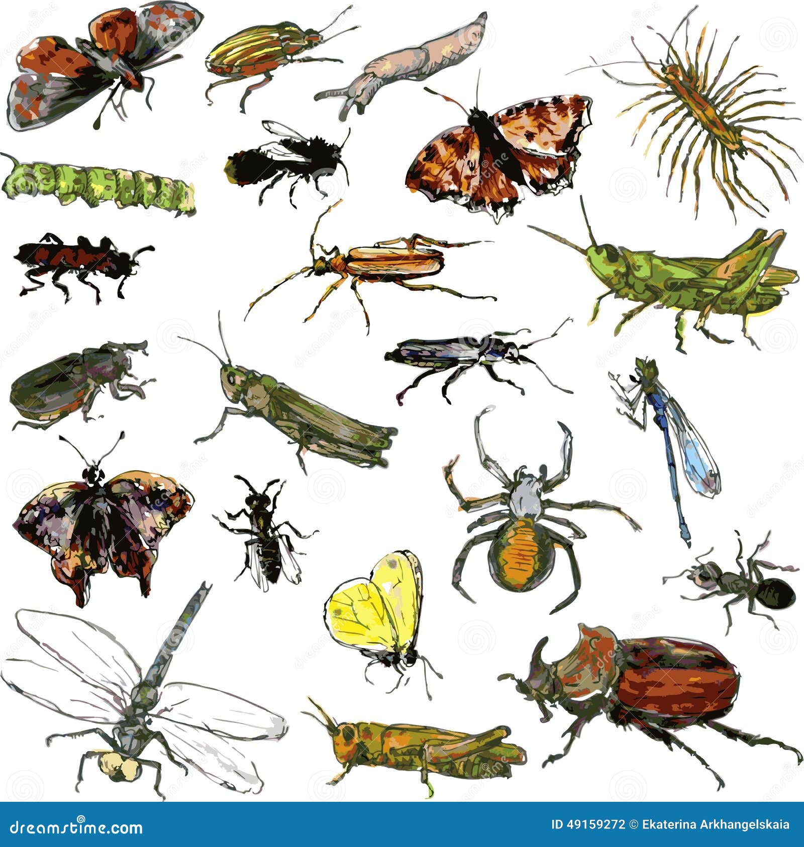 Ensemble D'insectes De Dessin D'aquarelle Illustration de Vecteur ...
