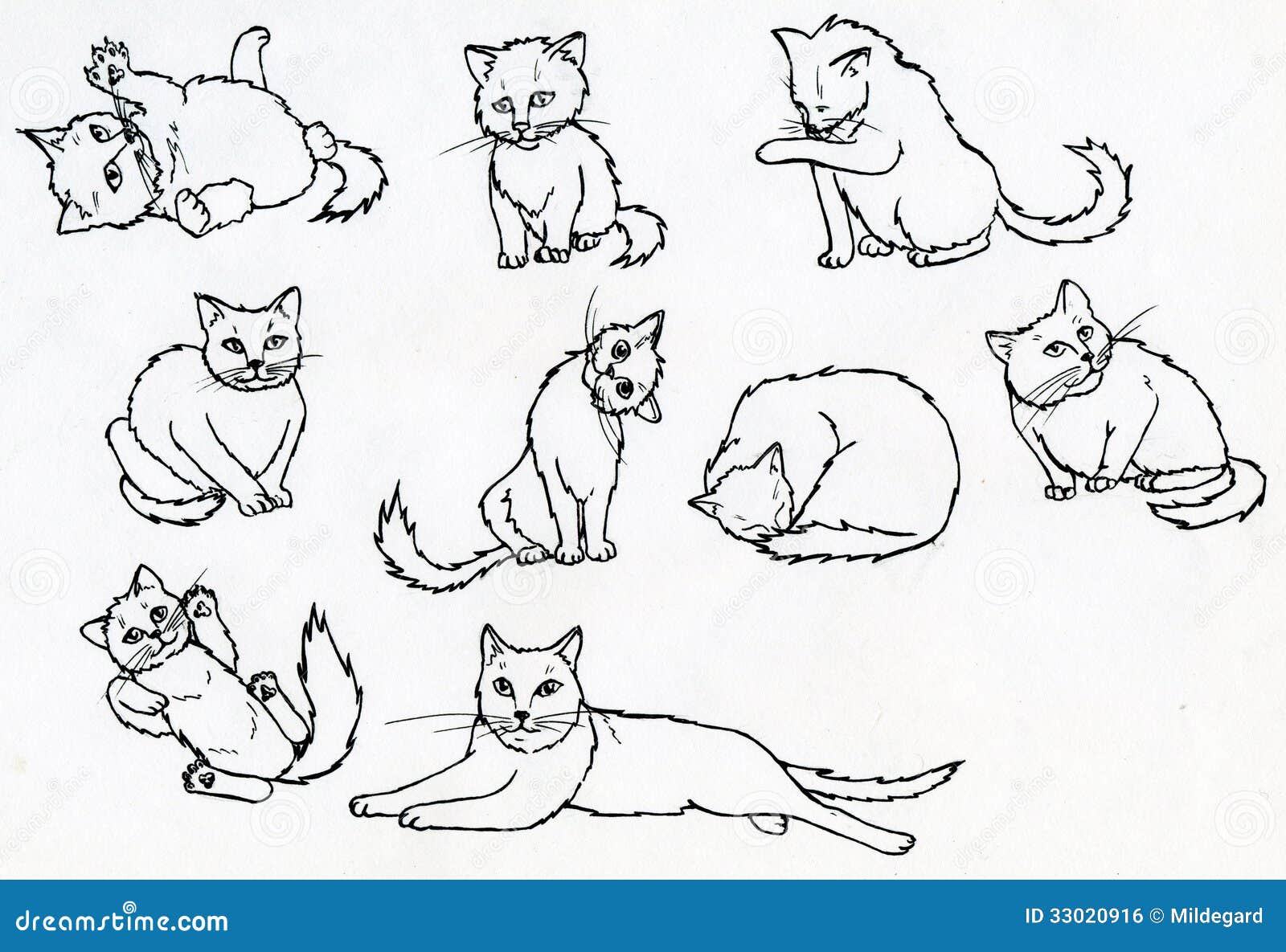 Ensemble De Chats Dessinés Par Encre Image libre de droits - Image ...