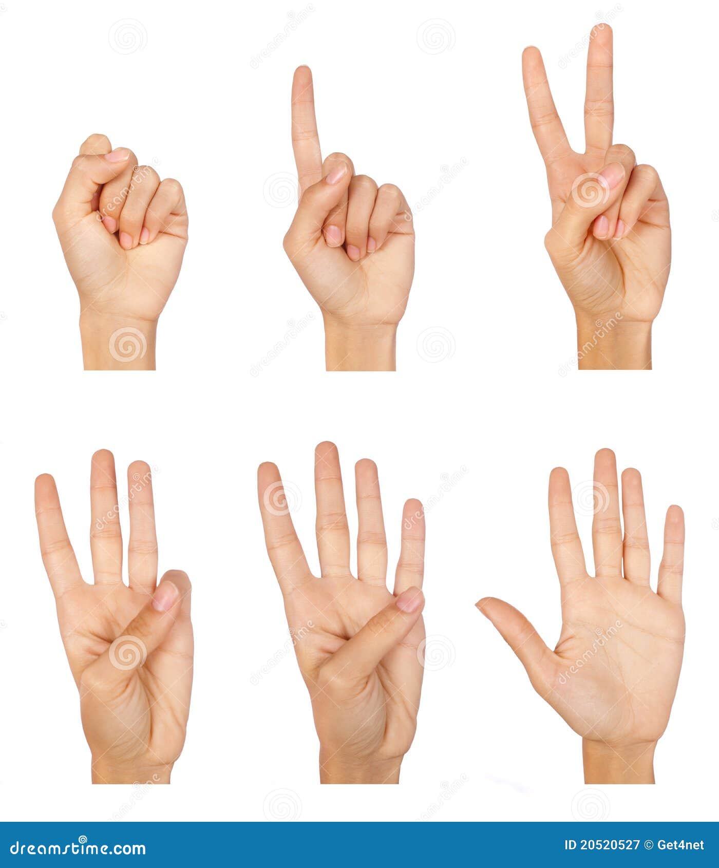 Ensemble De Compter Le Signe De Mains D'isolement Sur Le Blanc Image ...