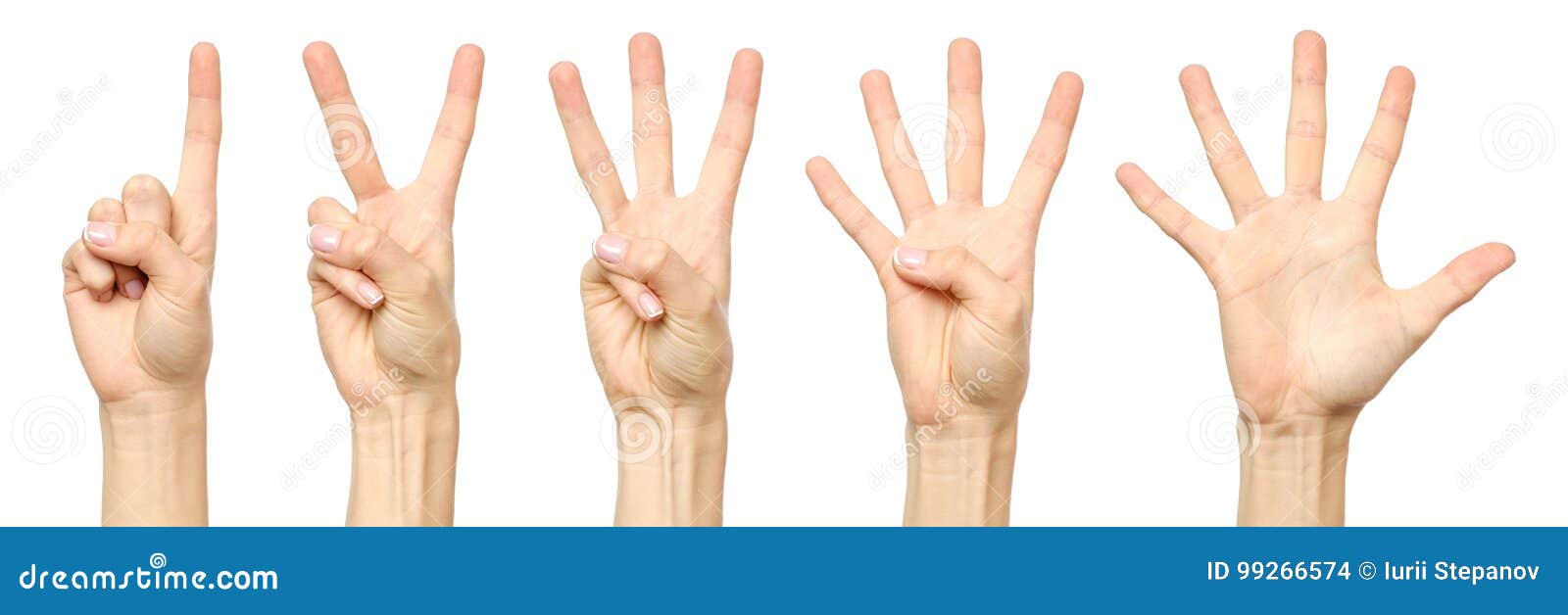 Ensemble De Compter Le Signe Femelle De Main D'isolement Photo stock ...