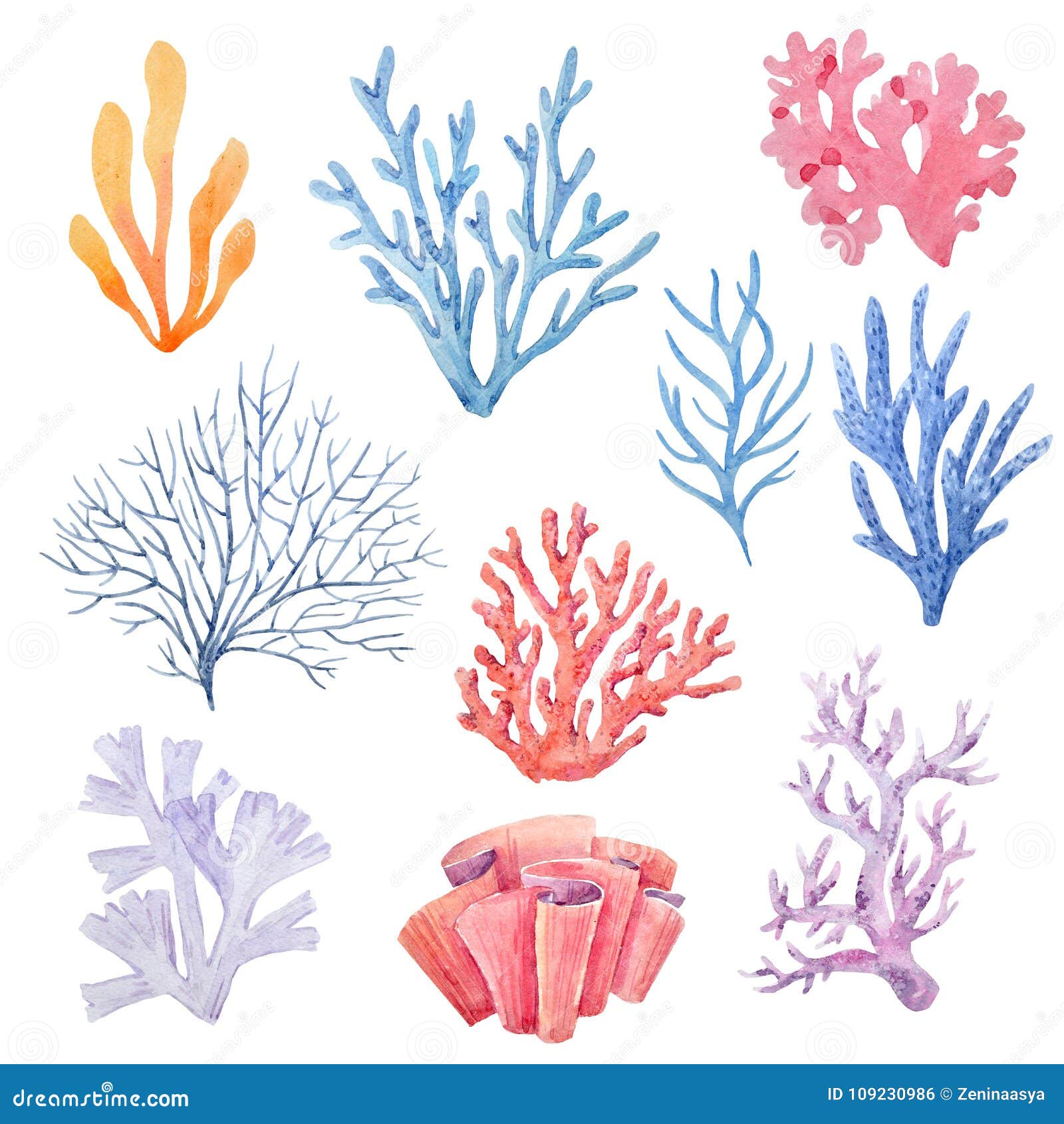 Ensemble De Corail D'aquarelle Illustration Stock - Illustration du ...