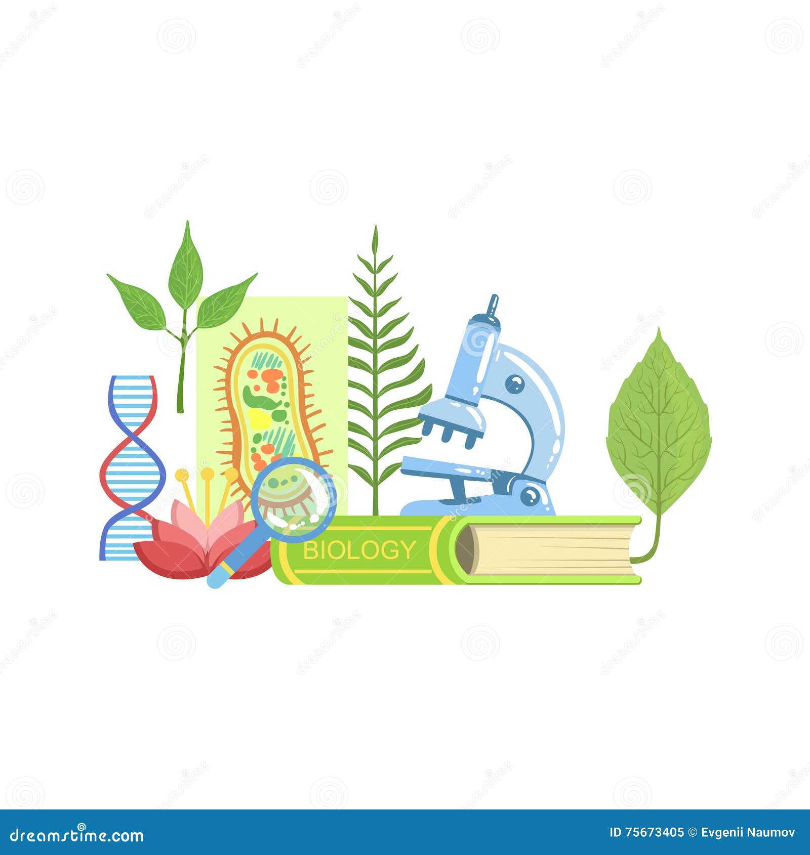 Ensemble De Cours De Biologie D'objets Illustration de Vecteur ...