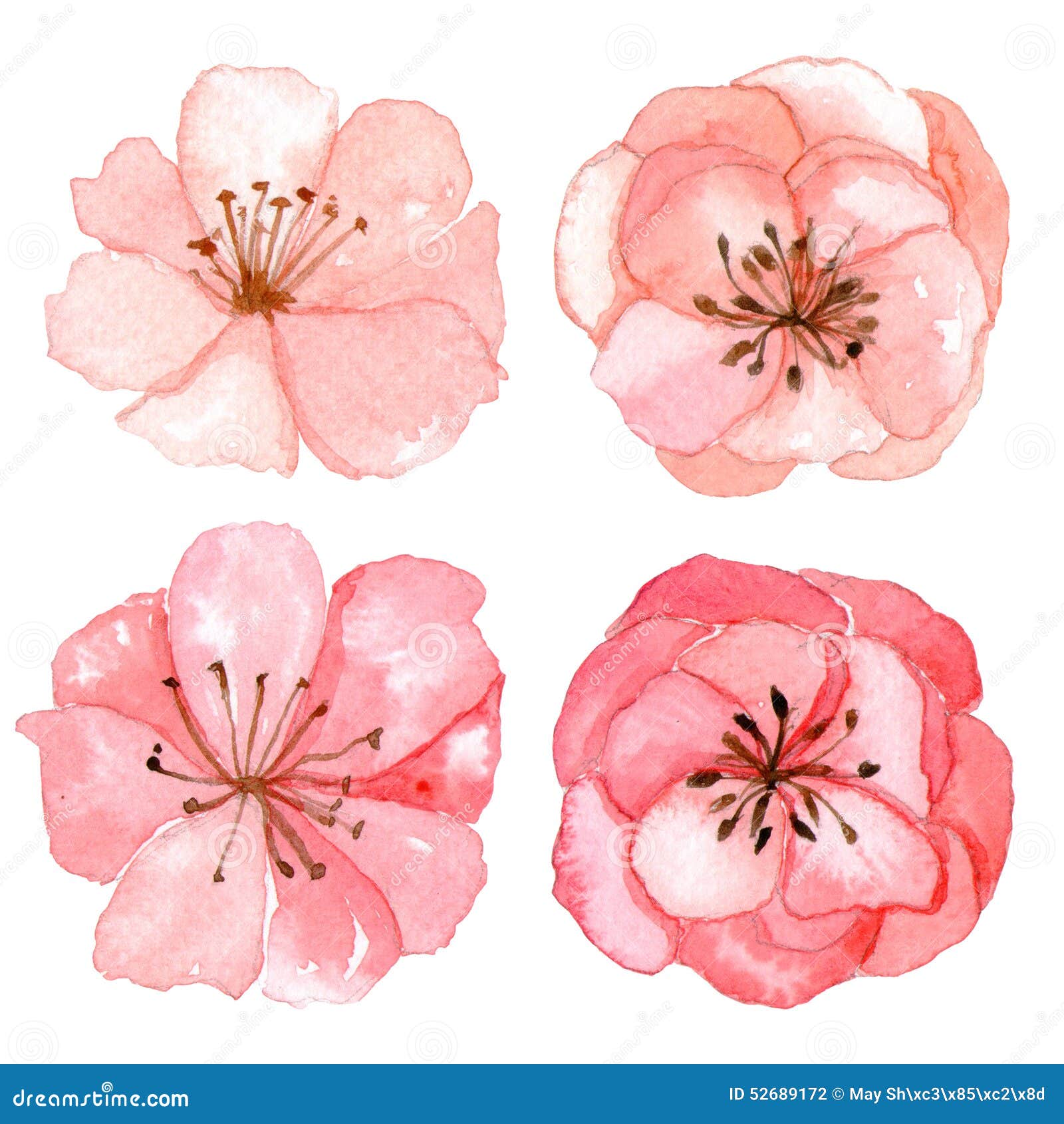 Ensemble De Dessin D'aquarelle De Fleurs Illustration Stock ...