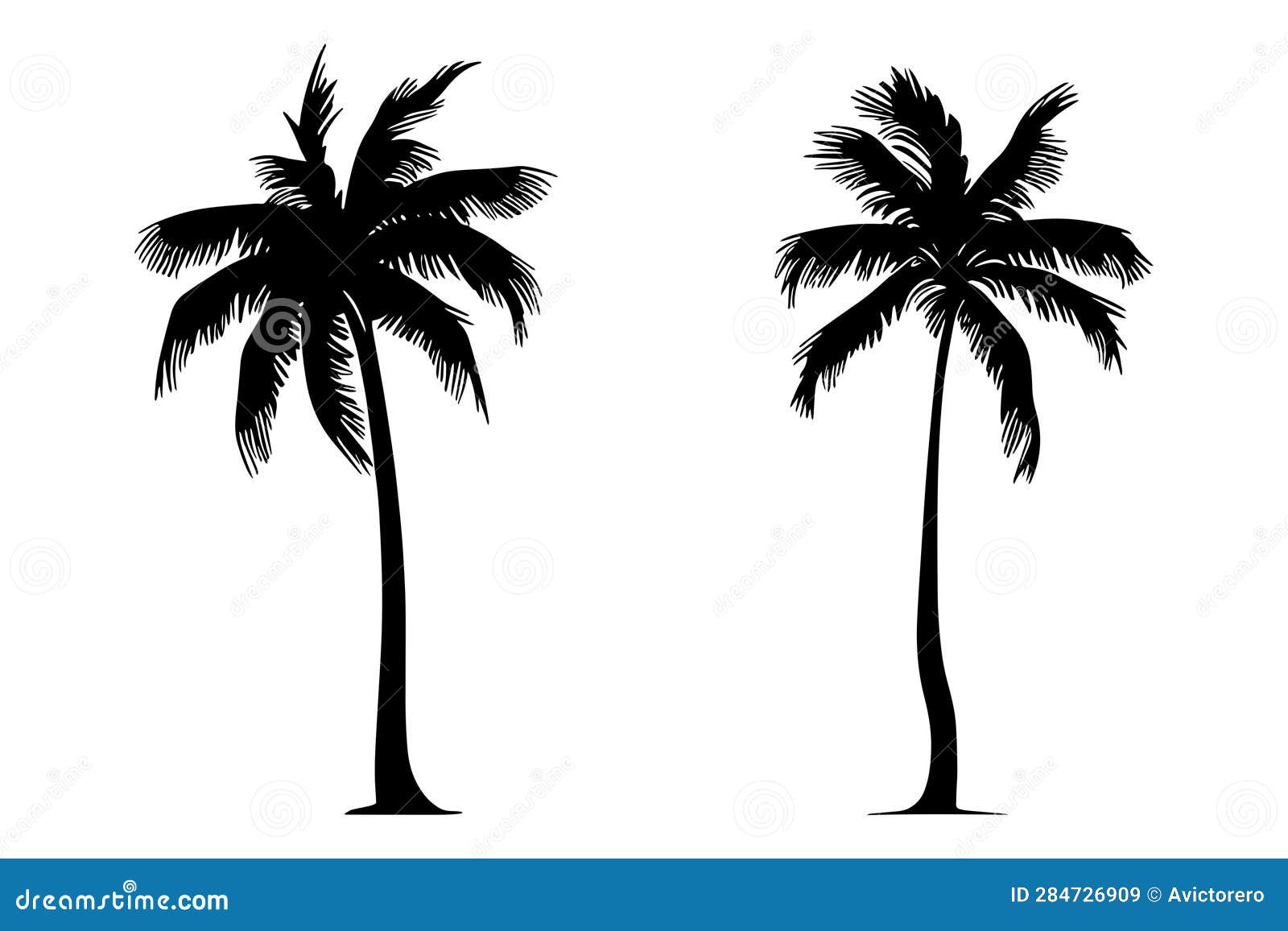 Ensemble De Deux Silhouettes De Palmier Illustration de Vecteur ...