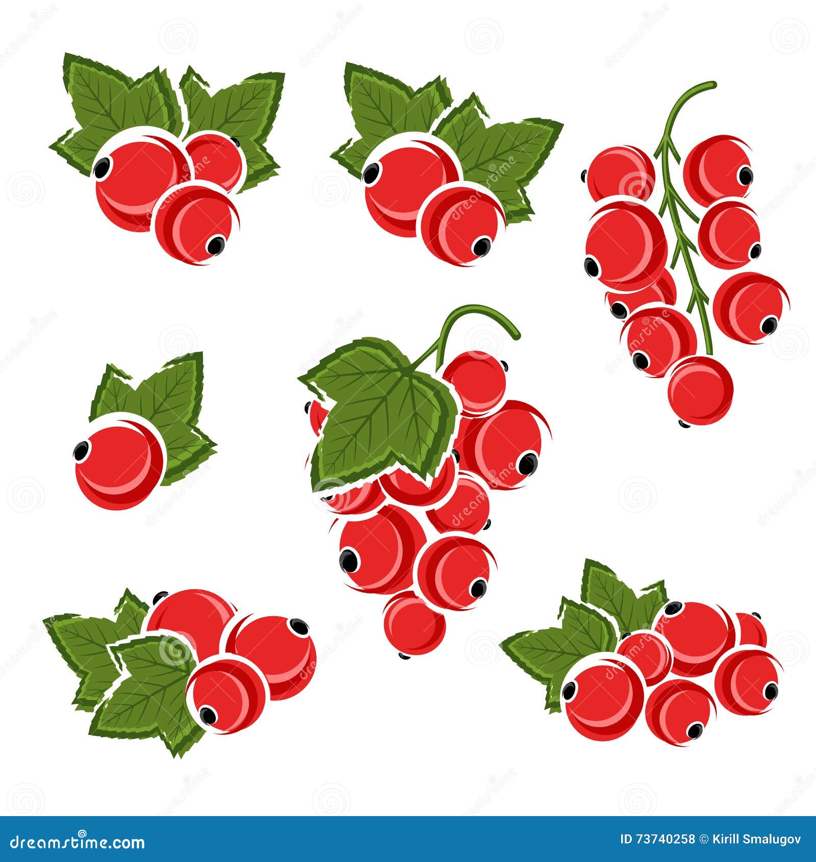 Ensemble De Groseille Rouge Vecteur Illustration de Vecteur ...