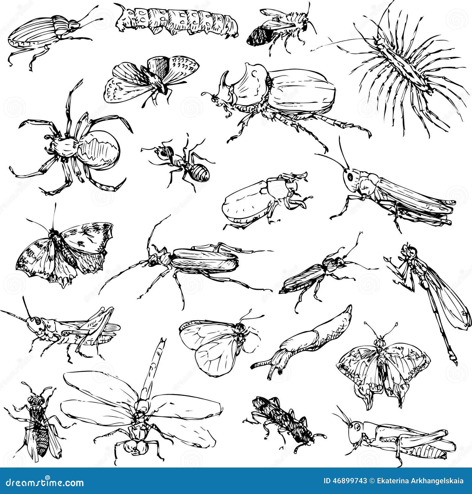 Ensemble De Insectes De Dessin Au Trait Illustration de Vecteur ...