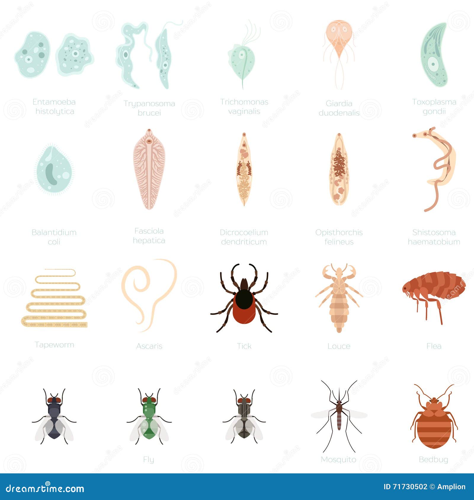 Ensemble de parasites illustration de vecteur. Illustration du ...