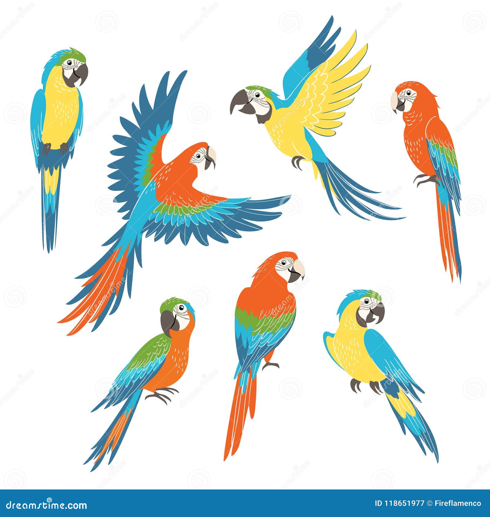 Ara Stock Illustrations, Vecteurs, & Clipart – (3,492 Stock Illustrations)