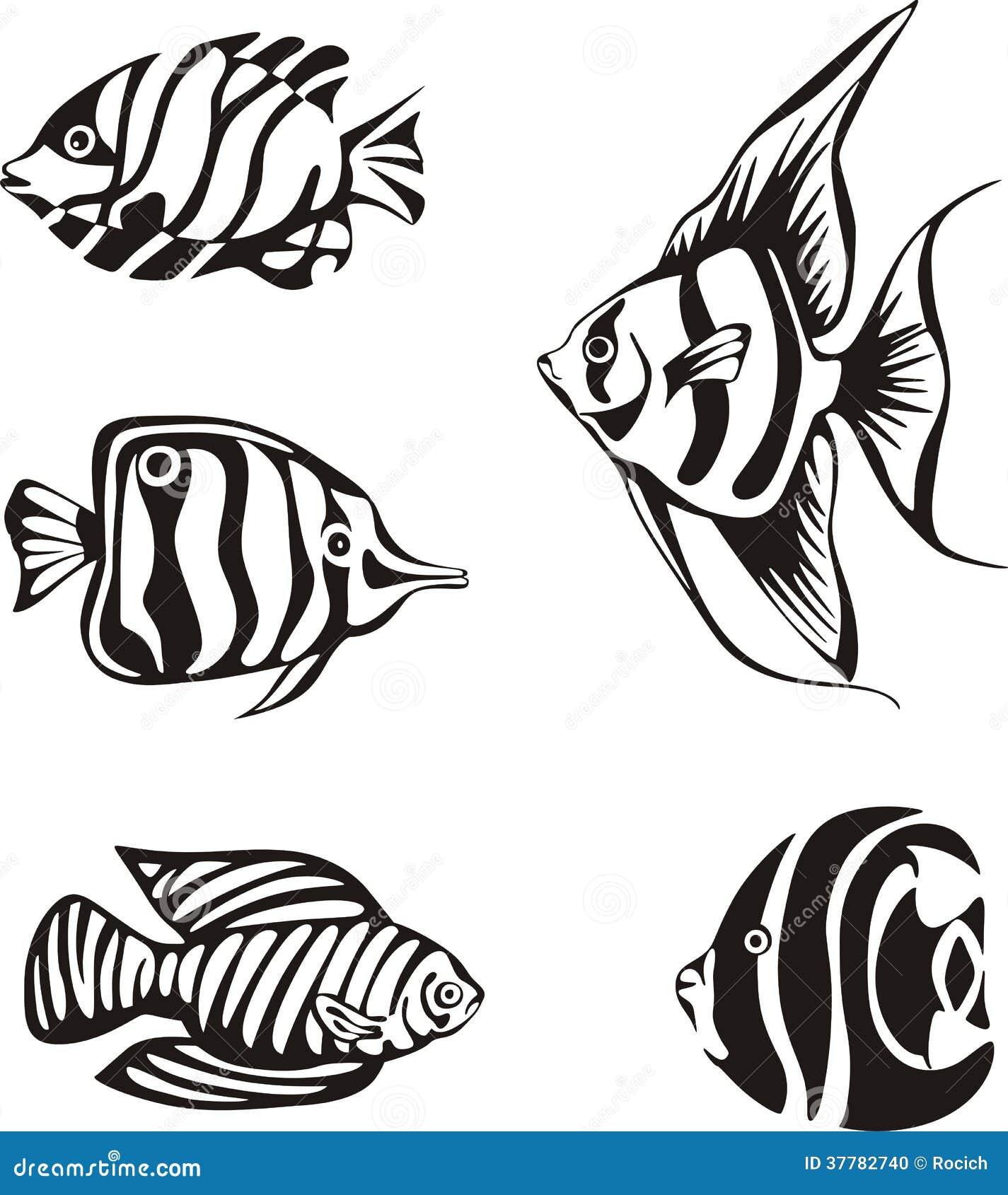 Ensemble De Poissons Tropicaux Noirs Et Blancs Illustration de Vecteur ...