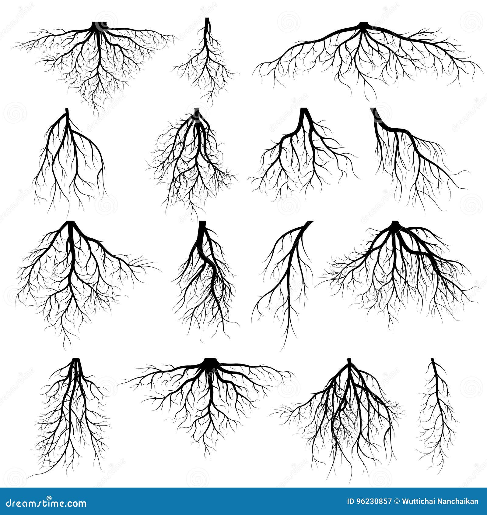 Ensemble De Racines D'arbre Illustration de Vecteur - Illustration du ...