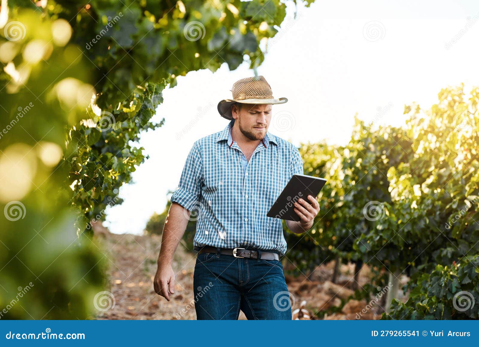 Ensuring the Smooth-running of His Farm. a Farmer Using a Digital ...