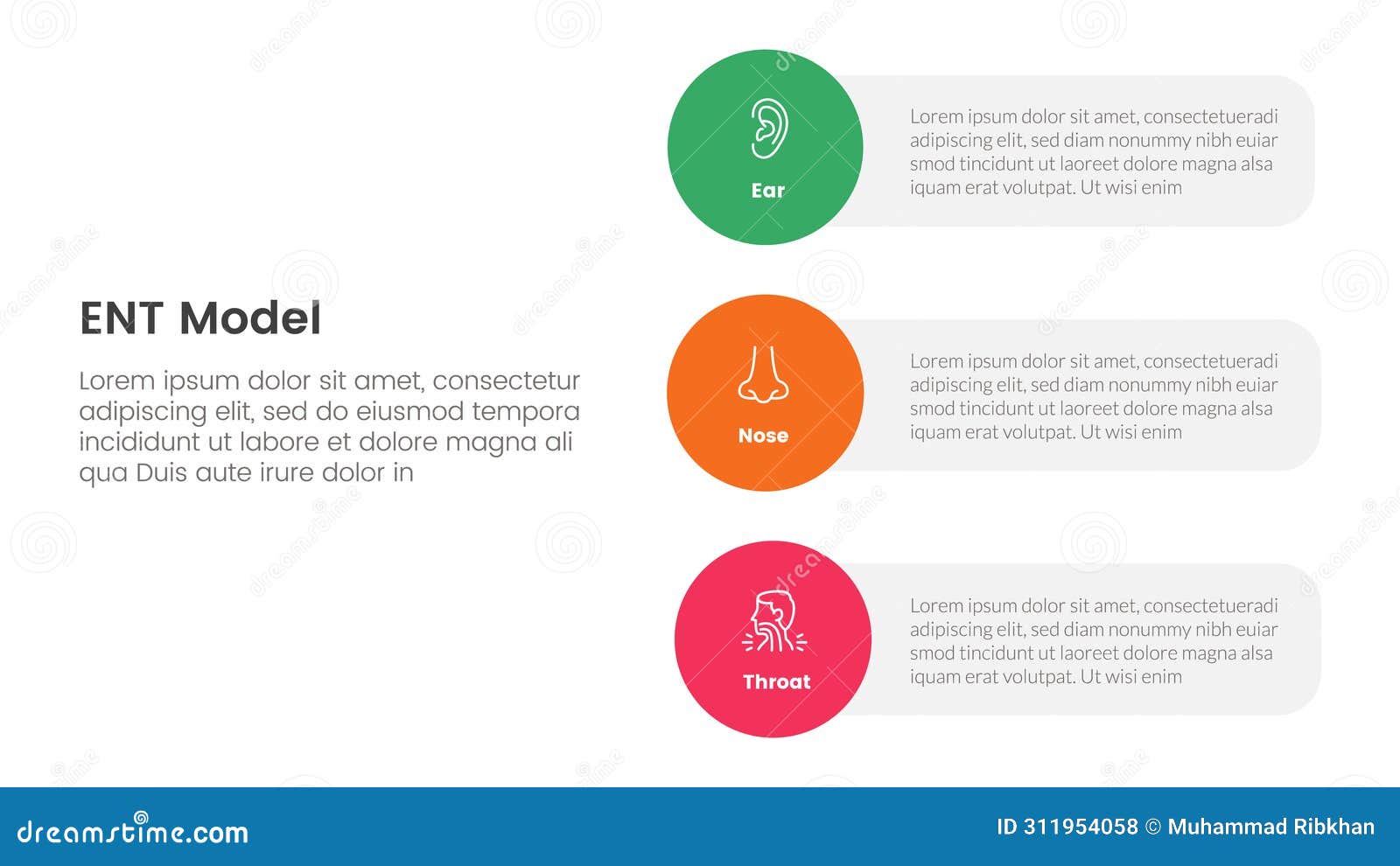 Ent Health Treatment Disease Infographic 3 Point Stage Template with ...