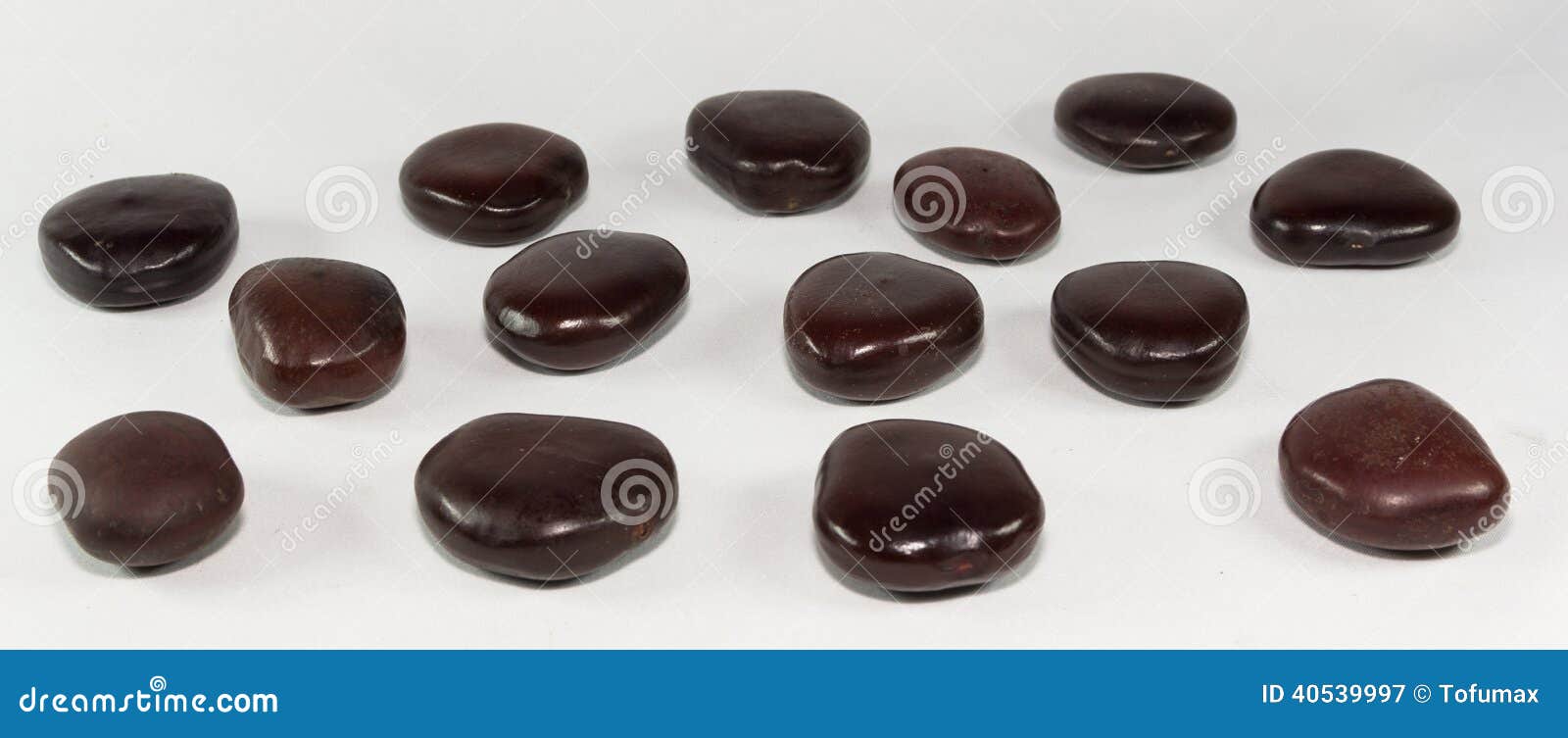 Entada Rheedii Spreng Seeds Stock Image - Image of mimosaceae, spreng ...