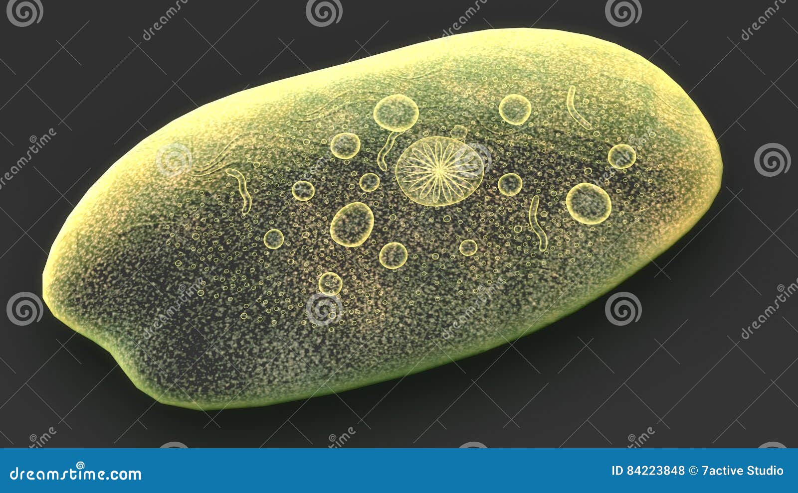 Entamoeba parasite illustration stock. Illustration of maladie - 84223848