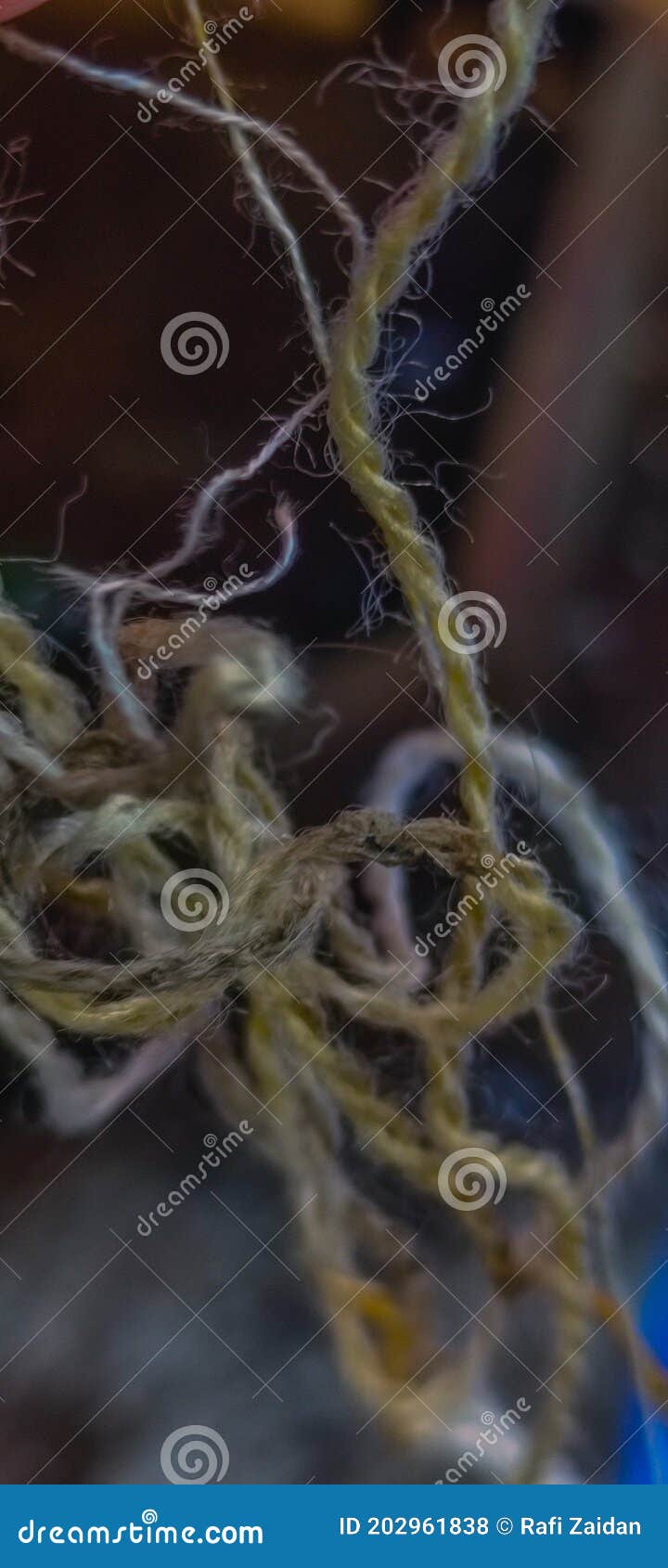 Entangled rope stock photo. Image of pattern, invertebrate - 202961838