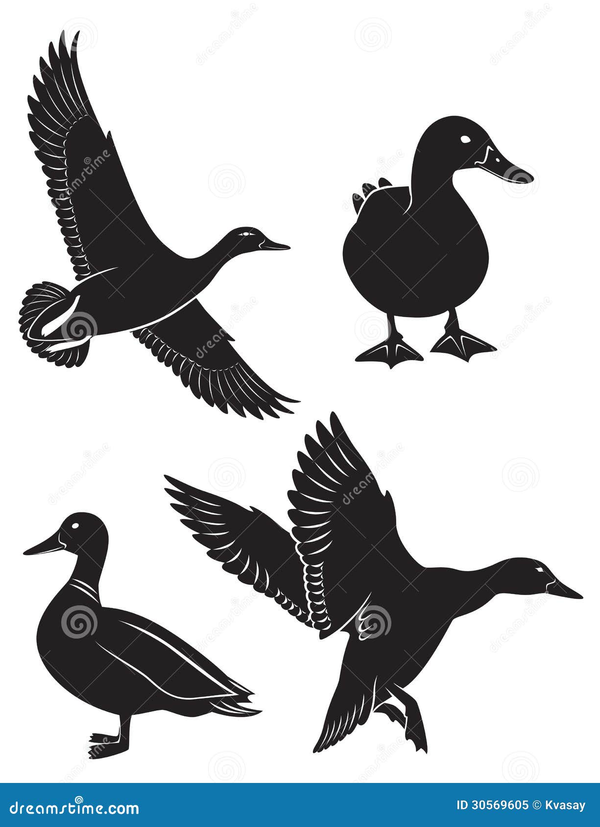 Ente vektor abbildung. Illustration von gans, vogel, ikone - 30569605